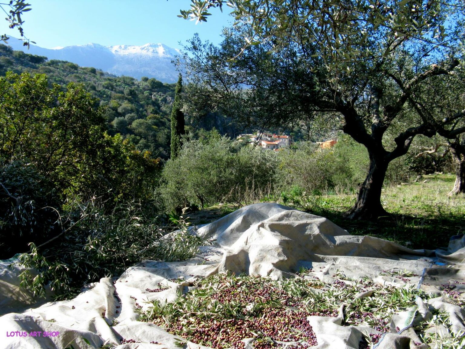 ΔΕΛΤΙΟ ΤΥΠΟΥ – Θετική ανταπόκριση του Δήμου Αποκορώνου στο αίτημα της ...